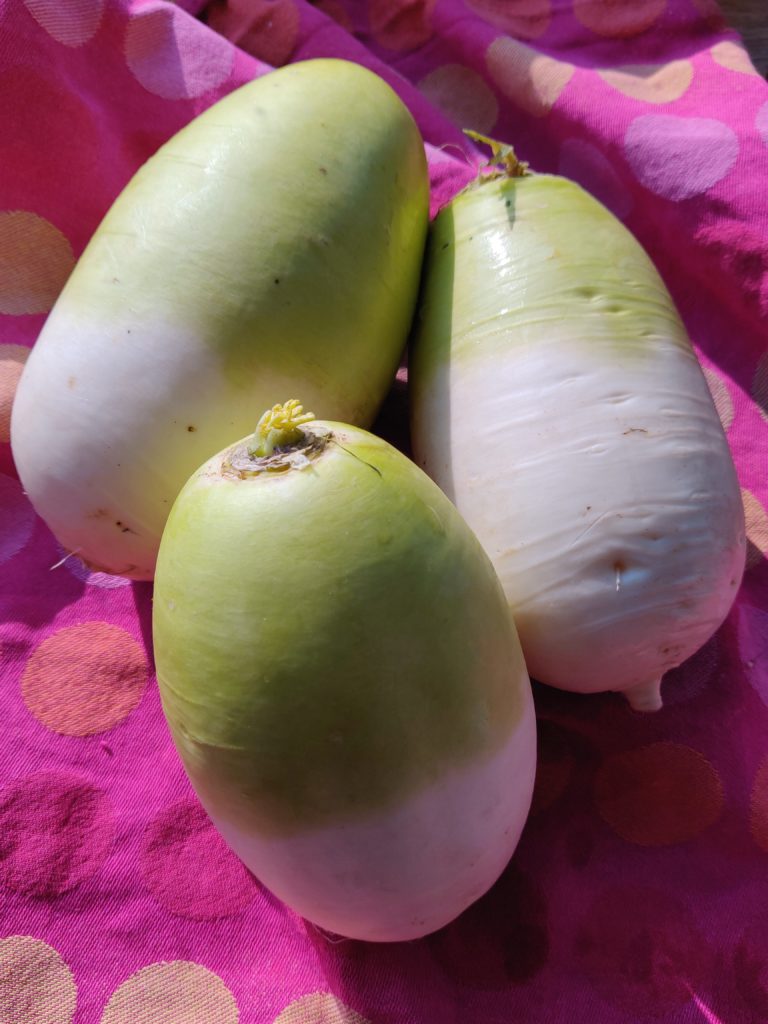 Nabak Kimchi – May 2021 – The Korean Pantry